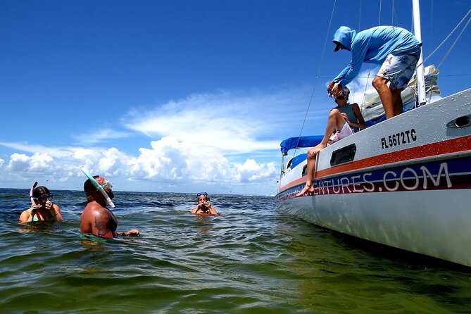 Private Catamaran: Snorkel, Swim and Dolphin Watching - Key Points