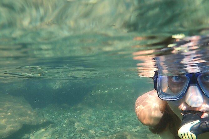 Private Catamaran: Snorkel, Swim and Dolphin Watching - Experience Overview and Itinerary