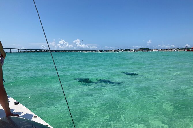 Private Catamaran: Snorkel, Swim and Dolphin Watching - What’s Included & What to Consider
