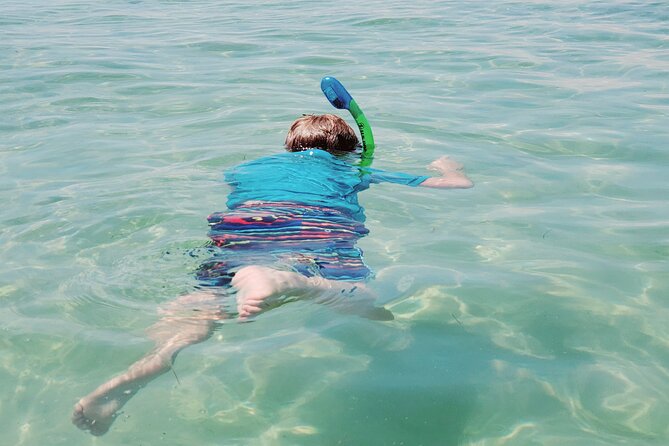 Private Catamaran: Snorkel, Swim and Dolphin Watching - Practical Tips & Final Thoughts