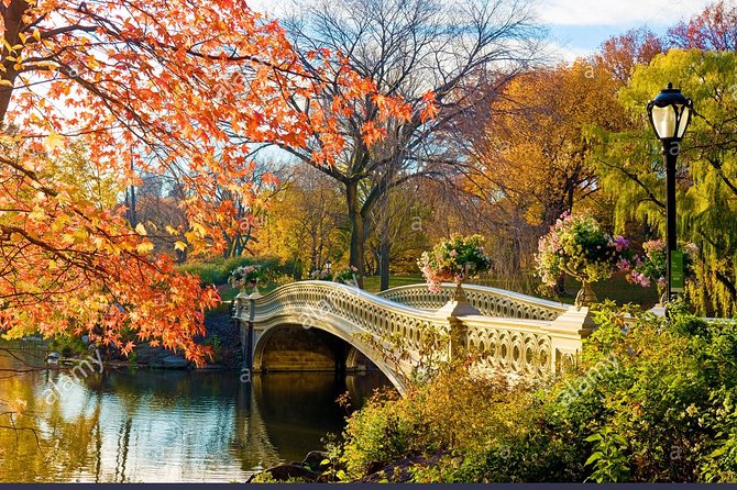 Private Central Park Walking Guided Tour - A Deep Dive into the Experience