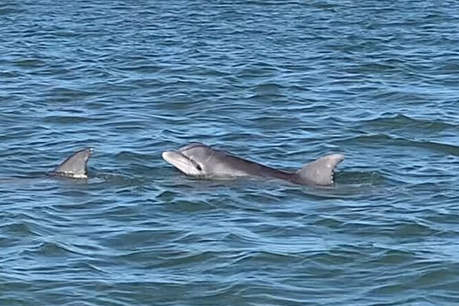 Private Charleston Sunset & Dolphin Cruise - Final Thoughts