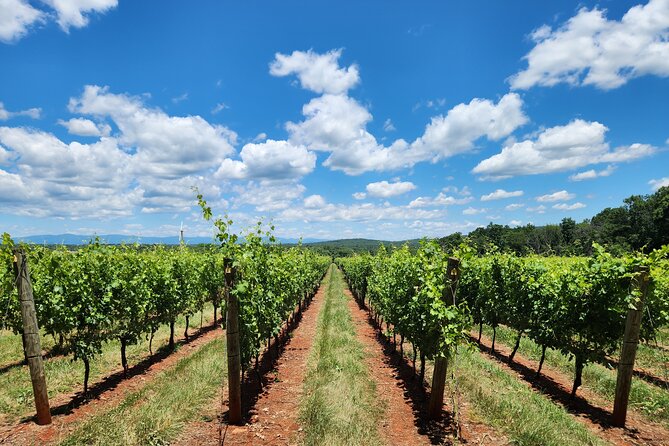 Private Charlottesville Area Wine Tour - FAQ
