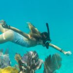 Private Charter 6 Passenger Sandbar, Snorkel, Dolphins - Overview of the Private Key West Tour