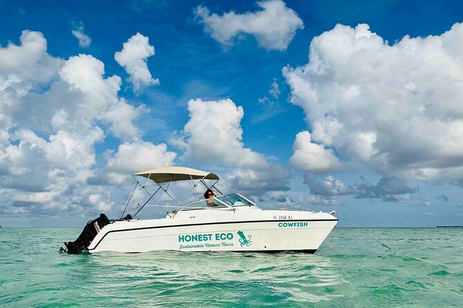 Private Charter 6 Passenger Sandbar, Snorkel, Dolphins - Itinerary Breakdown