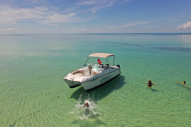 Private Charter 6 Passenger Sandbar, Snorkel, Dolphins - Who Is This Tour Best For?