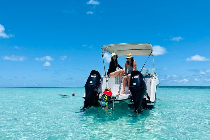 Private Charter 6 Passenger Sandbar, Snorkel, Dolphins - The Sum Up
