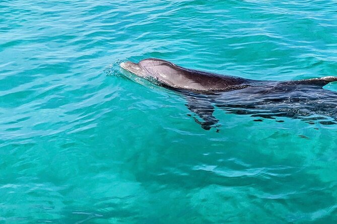 Private Charter Boat with Slide from Panama City - Key Points