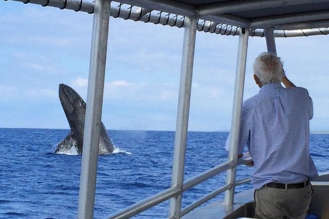 Private Charter: Customizable Big Island Boat Adventure - The Experience in Detail