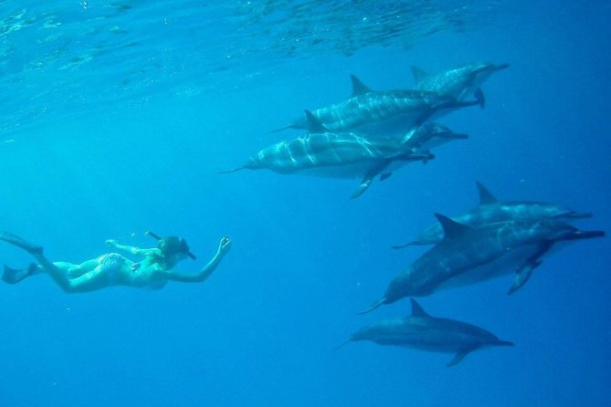 Private Charter: Customizable Big Island Boat Adventure - Final Thoughts