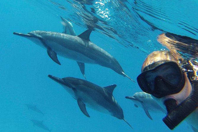 Private Charter: Customizable Big Island Boat Adventure - FAQ
