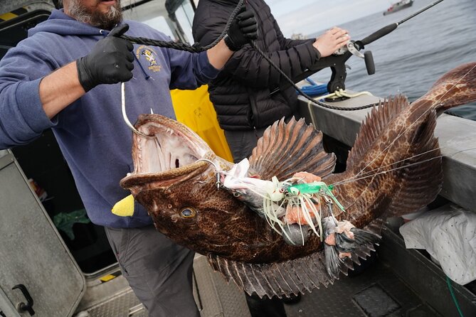 Private Charter Fishing - Full Port Time for Cruise Ship Guests - Private Charter Fishing – Full Port Time for Cruise Ship Guests: An In-Depth Review