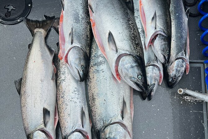 Private Charter Fishing - Full Port Time for Cruise Ship Guests - Key Points
