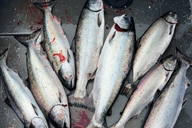 Private Charter Fishing - Full Port Time for Cruise Ship Guests - Authentic Insights from Reviewers