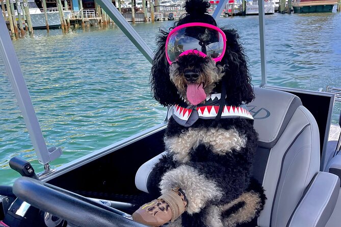 Private Chartered Luxury Pontoon Boat in Destin-Up to 6 Guests - Key Points