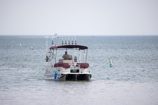 Private Charters on Saginaw Bay for Fishing or Birdwatching - A Closer Look at Private Charters on Saginaw Bay for Fishing or Birdwatching