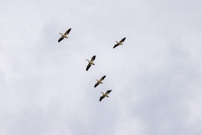 Private Charters on Saginaw Bay for Fishing or Birdwatching - The Guide and Safety