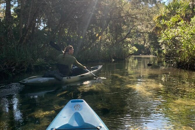 Private Chassahowitzka River Exploration kayak tour - Price and Value Considerations