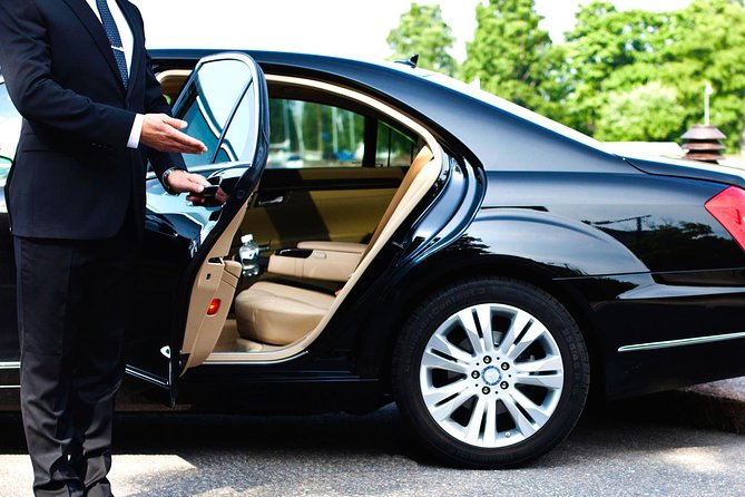 Private Chauffeured and Historian Guided City Tour of New Orleans - The Experience in Detail: What You Can Expect
