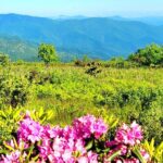 Private "Child-Focused" Blue Ridge Mountains Tour - What We Love & What to Consider