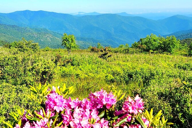 Private "Child-Focused" Blue Ridge Mountains Tour - What We Love & What to Consider