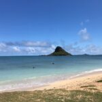 Private Circle Island Full Day up to 14 people (Se habla Español) - Who Will Love This Tour?