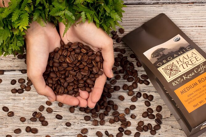 Private Coffee Roasting Class - Key Points