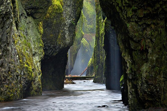 Private Columbia River Gorge Half-Day Tour - Who Would Love This Tour?