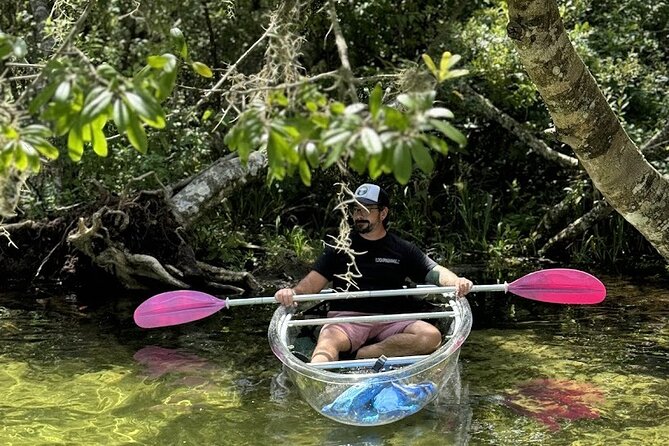 Private Crystal Clear 2 HR Kayak/Paddle Rental on Rainbow River - The Value of the Experience: Price and What It Includes