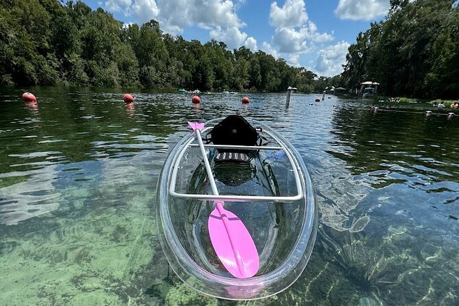Private Crystal Clear 2 HR Kayak/Paddle Rental on Rainbow River - Potential Drawbacks and Considerations