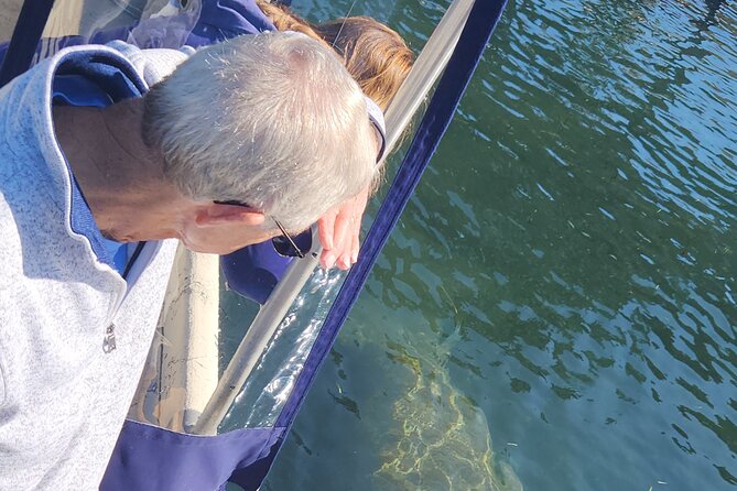 Private Crystal River Wildlife Boat Tour - Detailed Breakdown of the Itinerary