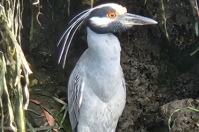 Private Crystal River Wildlife Boat Tour - The Sum Up