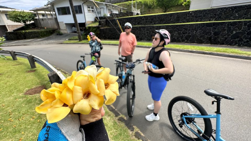 Private Custom Bike or Electric Bike Tour - Key Points
