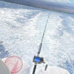 Private Custom Charter in Kawaihae - Who Should Consider This Tour?