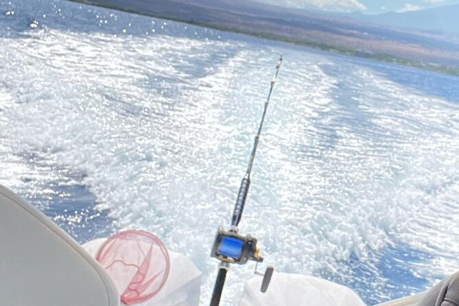 Private Custom Charter in Kawaihae - Who Should Consider This Tour?