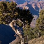 Private Custom Grand Canyon Tours - Who Will Love This Tour?