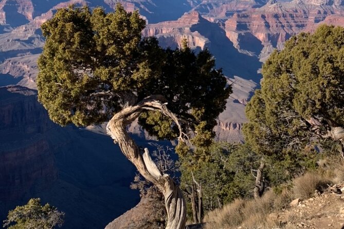 Private Custom Grand Canyon Tours - Who Will Love This Tour?