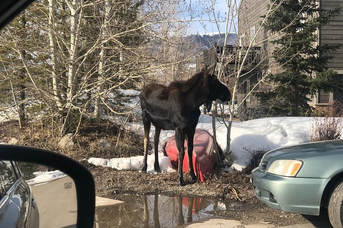 Private custom tour of the foothills of Denver, Dillon and Breckenridge. - FAQ