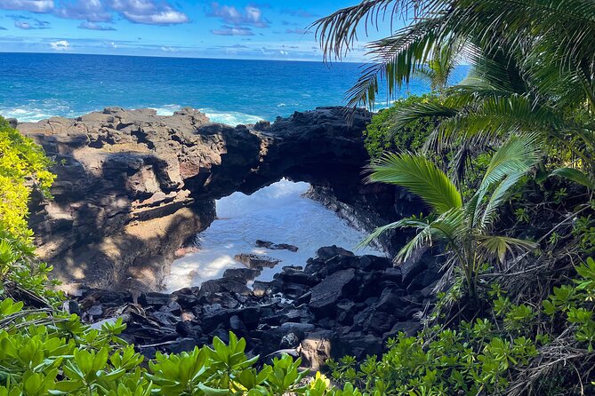 Private Custom Van Full-Day Guided Tour on Big Island of Hawaii - Key Points