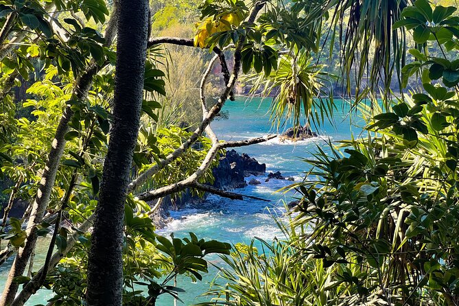 Private Custom Van Full-Day Guided Tour on Big Island of Hawaii - Final Thoughts