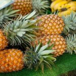 Private Customizable Grand Circle Island Tour on Oahu - FAQ