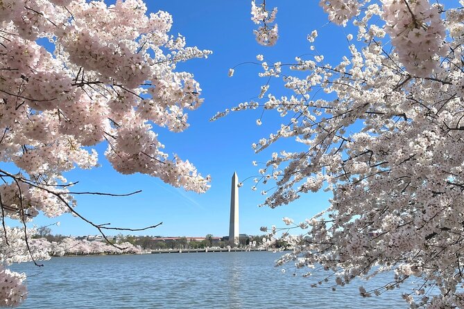 Private & Customizable Tour of Washington DC - Who Should Consider This Tour?