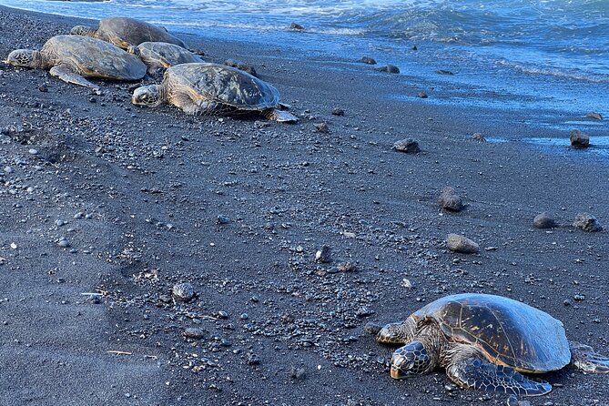 Private Customized Big Island Adventure Tour (4-6 Hours) - Who Will Appreciate This Adventure?