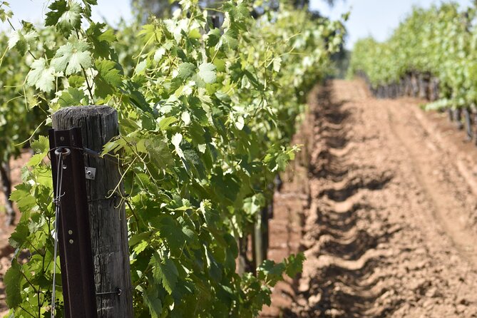 Private, Customized Napa Valley Wine Tasting Tour 6To14 passenger - How the Tour Works: Planning Your Perfect Day