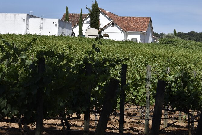 Private, Customized Napa Valley Wine Tasting Tour 6To14 passenger - Who Will Love This Experience?