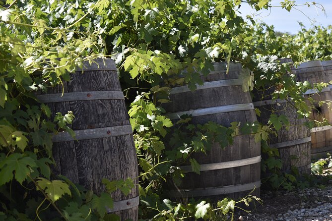 Private, Customized Sonoma Valley Wine Tour - Final Thoughts