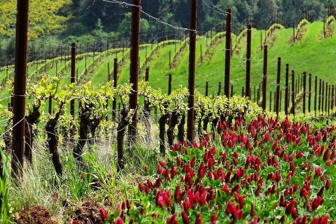 Private Customized Willamette Valley Wine Maker Tour with lunch - FAQs