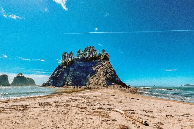 Private Day Hike in the Ozette Triangle - Exploring the Ozette Triangle: A Nature Lover’s Dream