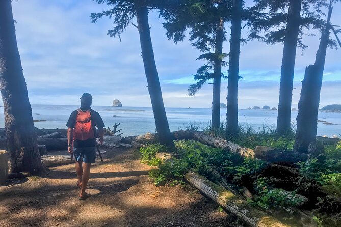Private Day Hike in the Ozette Triangle - The Sum Up