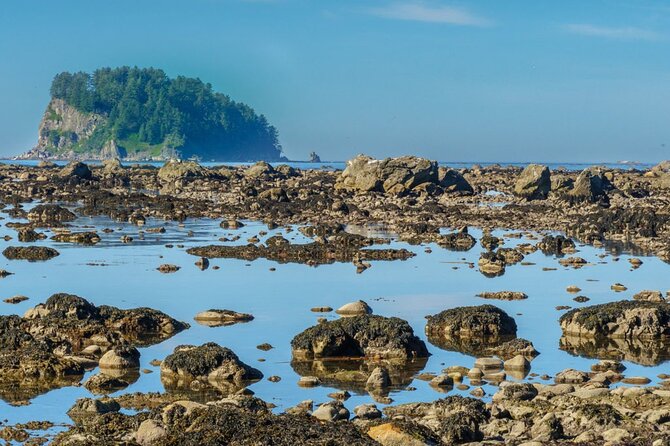 Private Day Hike in the Ozette Triangle - FAQs